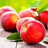 O'Henry Peach Tree For Sale Online | The Tree Center