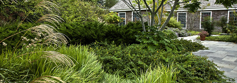 The New American Garden: A Home-Grown Garden Style | The Tree Center™