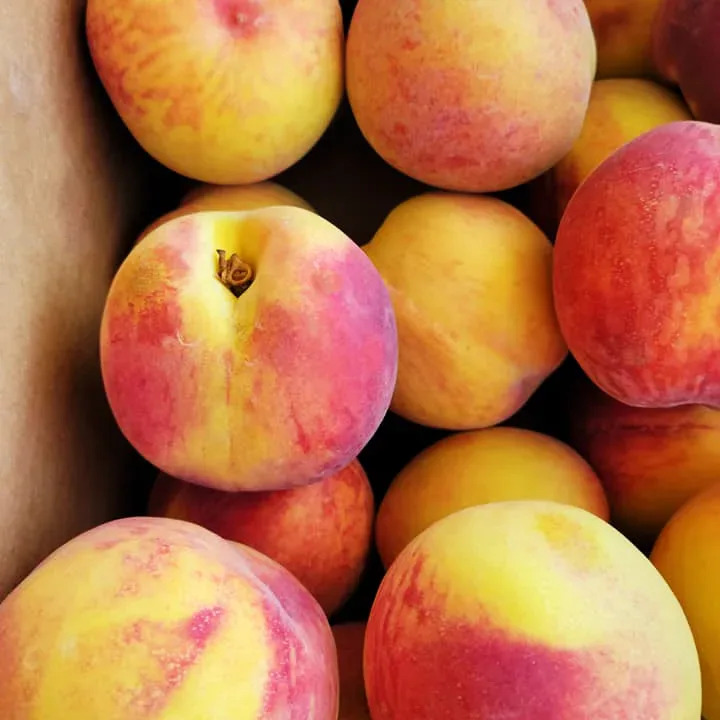 Country Sweet Peach For Sale Online | The Tree Center