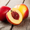 Rose Princess Nectarine For Sale Online | The Tree Center