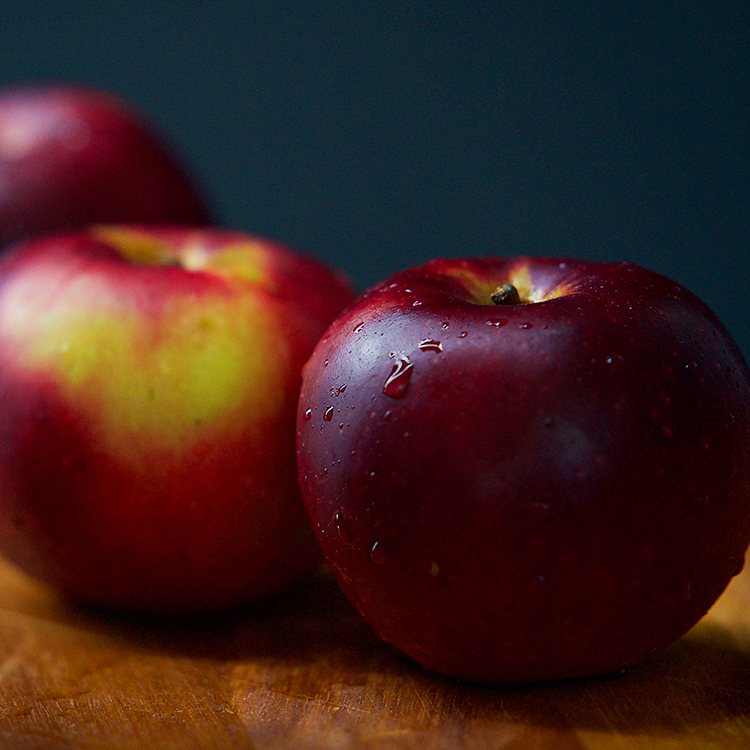 Arkansas Black Apple Tree For Sale Online | The Tree Center