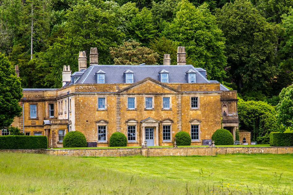 Tardiana Hosta and Friends | The Tree Center™