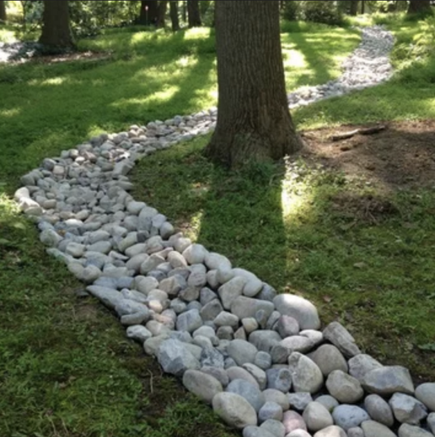 French Drains: Everything You Need to Know | The Tree Center™