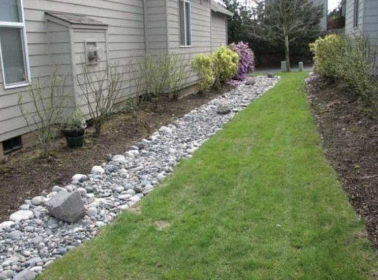 French Drains: Everything You Need to Know | The Tree Center™