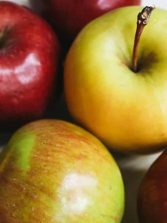 Apple Trees For Sale Online | The Tree Center