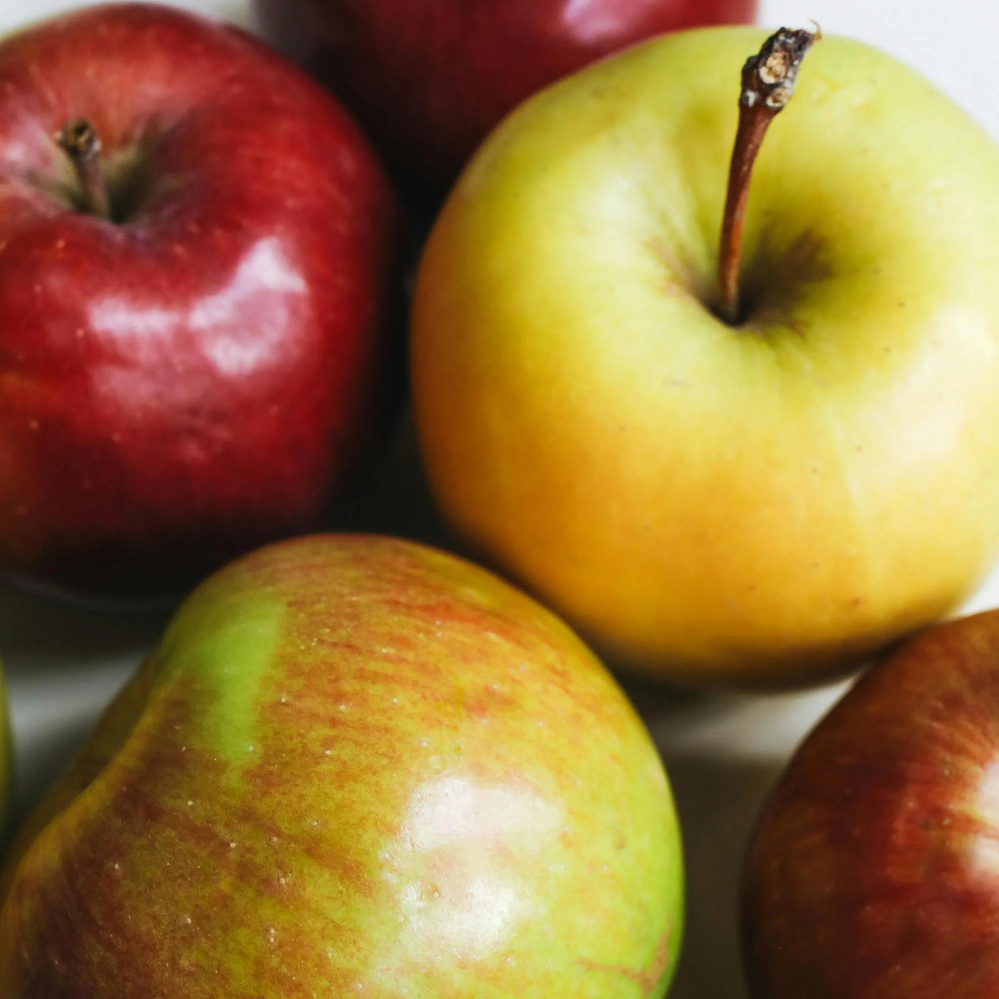 3-in-1 Apple Cocktail Tree For Sale Online | The Tree Center