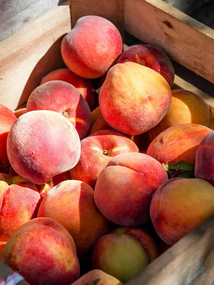 Peach Trees For Sale Online | The Tree Center