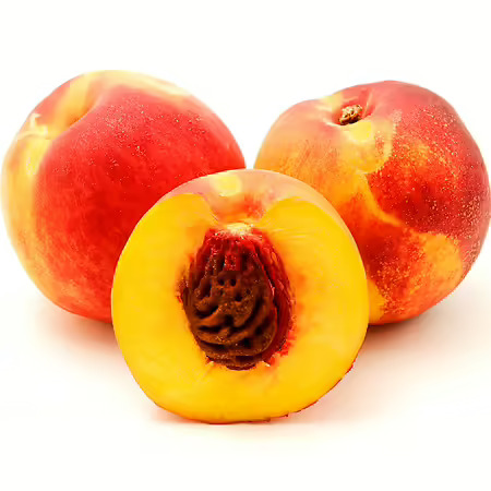 Red Gold Nectarine For Sale Online | The Tree Center