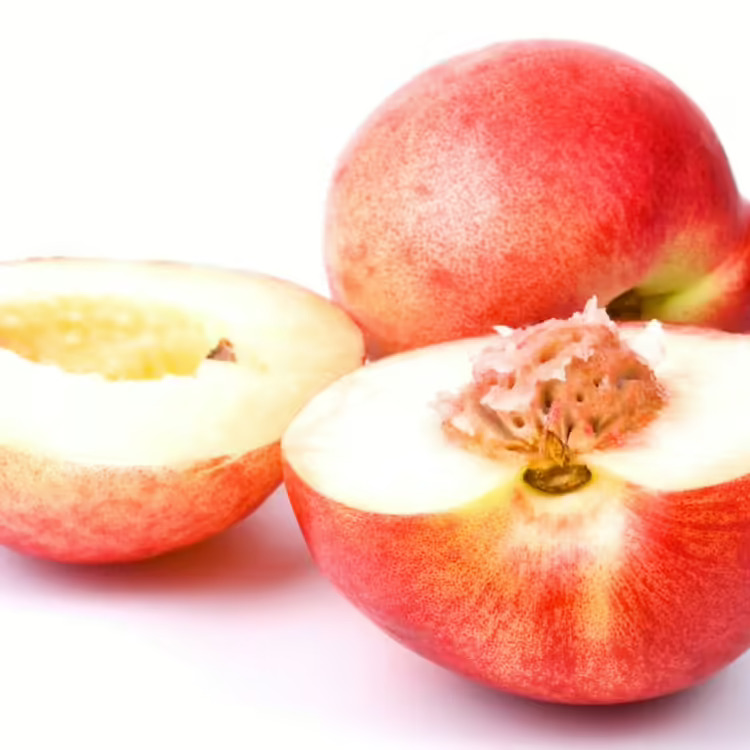 Red Gold Nectarine For Sale Online | The Tree Center