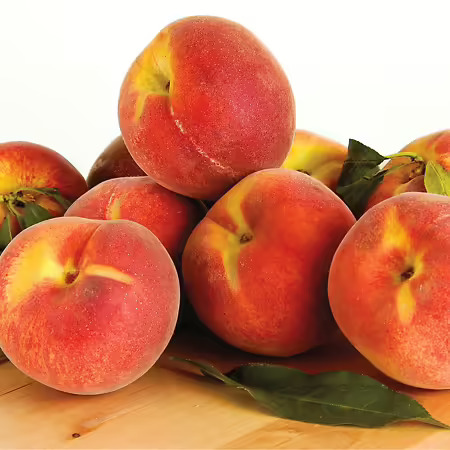 Ruston Red Peach Tree For Sale Online | The Tree Center