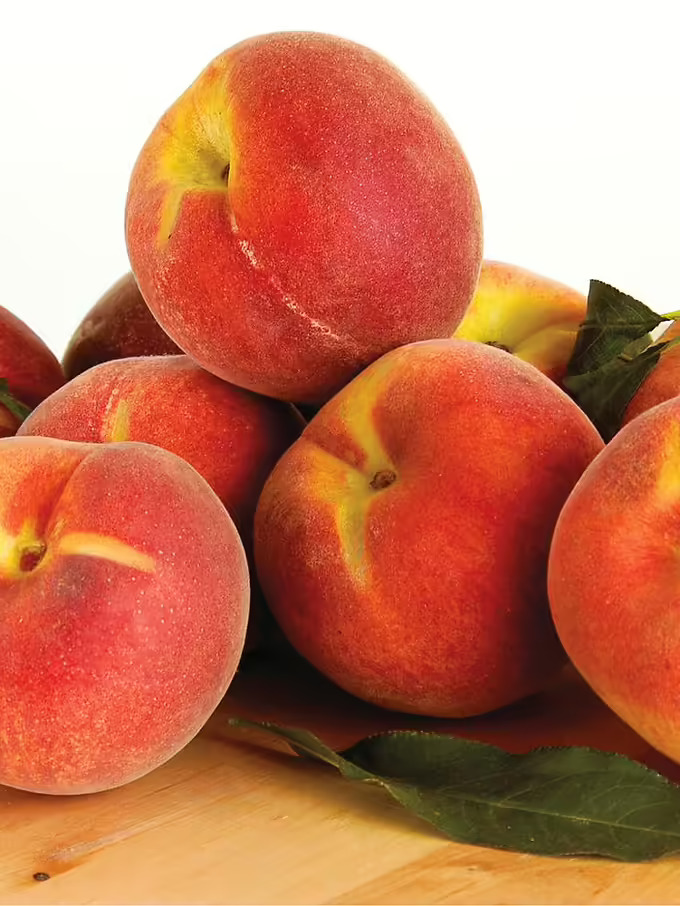 Peach Trees For Sale Online | The Tree Center