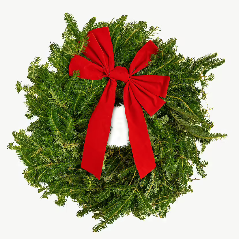 22" Holiday Wreath With Bow For Sale Online | The Tree Center