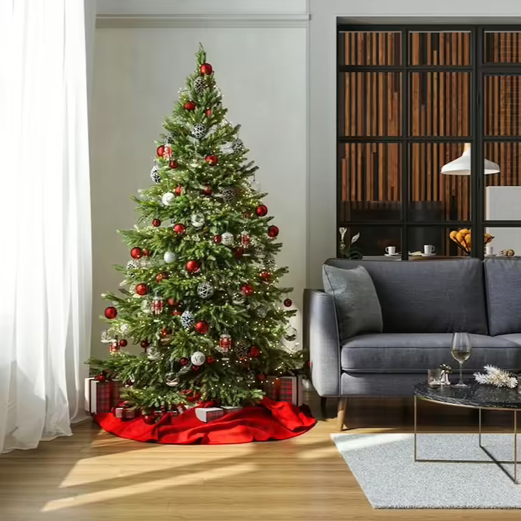 Fraser Fir Christmas Tree (5-6 Feet) For Sale Online | The Tree Center