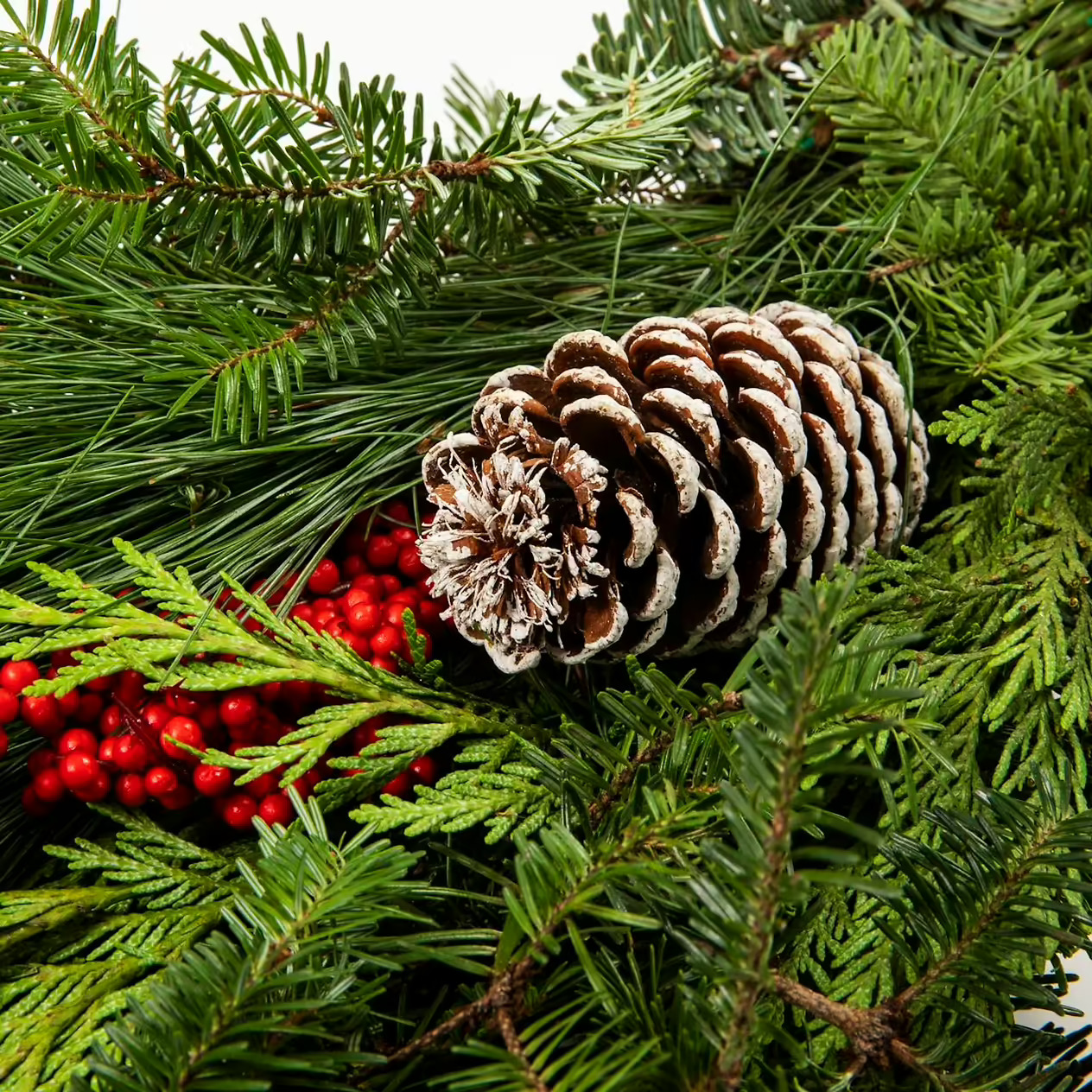 Holiday Bough Bundles For Sale Online | The Tree Center