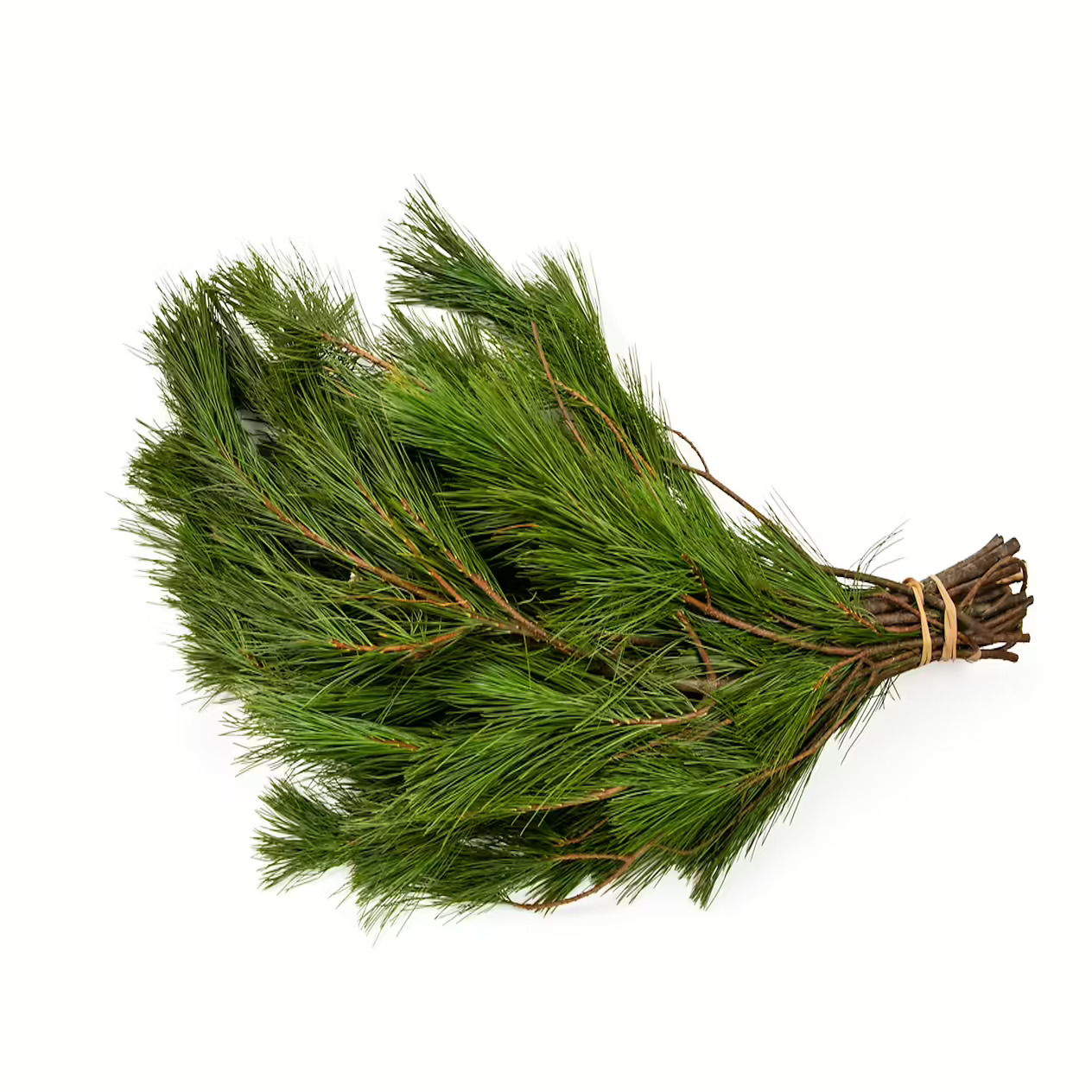 Holiday Bough Bundles For Sale Online | The Tree Center