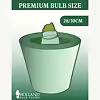 Red Lion Amaryllis Kit For Sale Online | The Tree Center