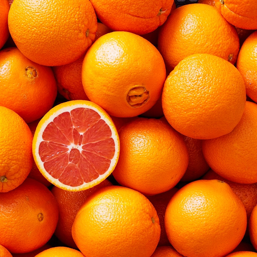 Cara Cara Orange Tree For Sale | The Tree Center