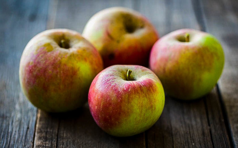 Stayman Apple Trees For Sale Online | The Tree Center