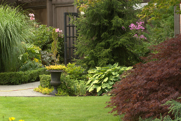 August In the Garden | The Tree Center™