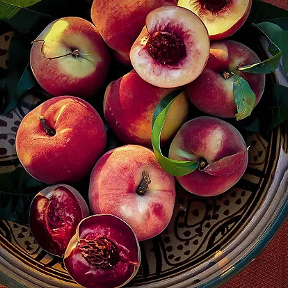 Bonfire Patio Peach Tree For Sale Online | The Tree Center