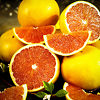 Rio Red Grapefruit Trees For Sale Online | The Tree Center