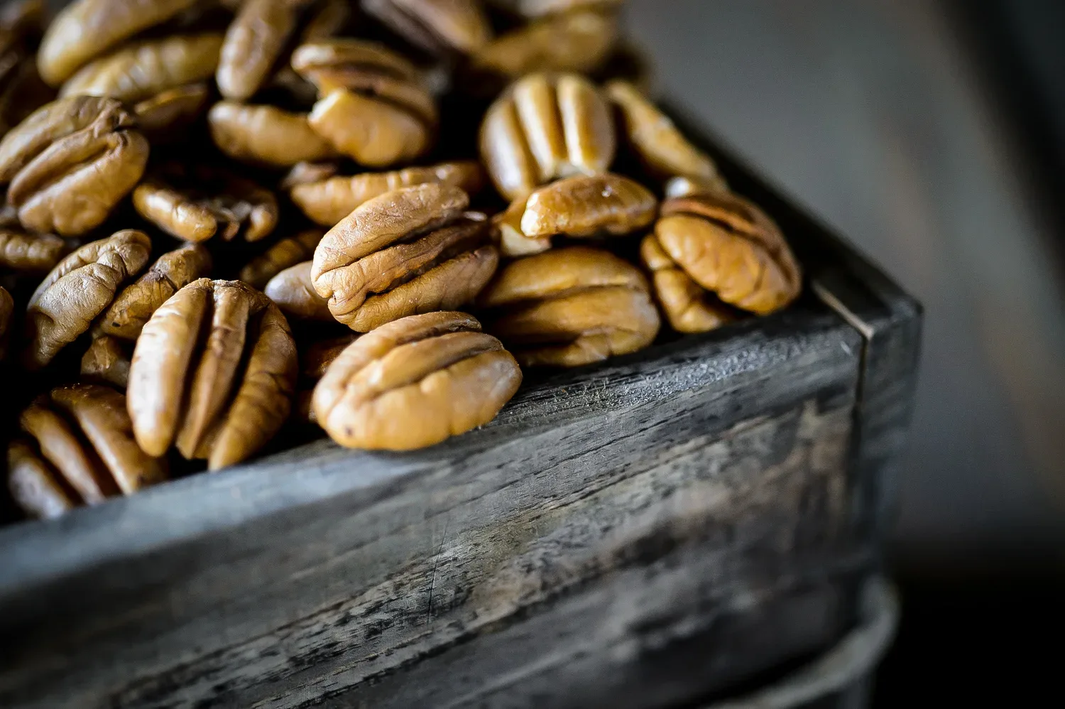 Southern Pecan Trees For Sale Online | The Tree Center