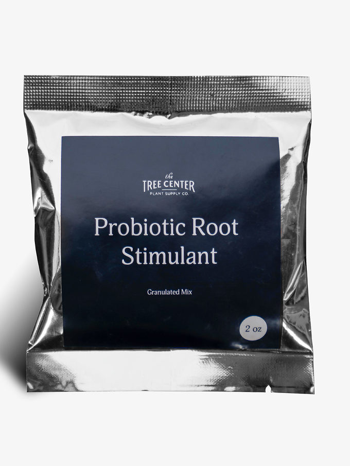 Cameo Apple Trees For Sale | The Tree Center