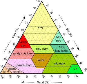 Xeric Gardening – 5 Tips for Using Less Water | The Tree Center™