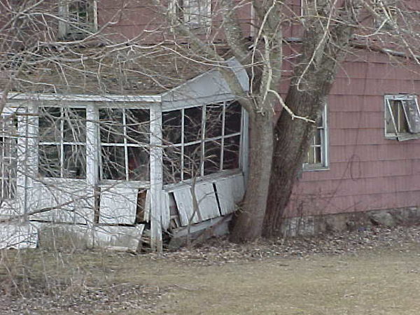 Spacing Trees Correctly | Learn How to Space Trees & Why It Matters