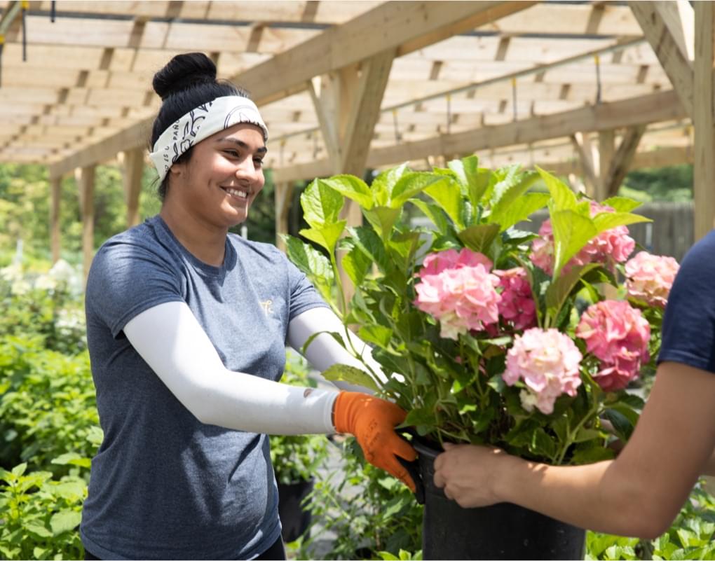 About The Tree Center | The Tree Center