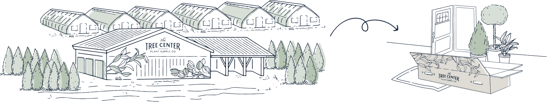 About The Tree Center | The Tree Center