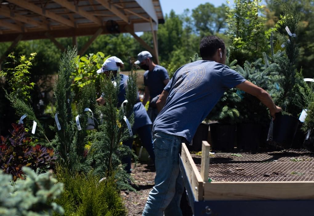 About The Tree Center | The Tree Center