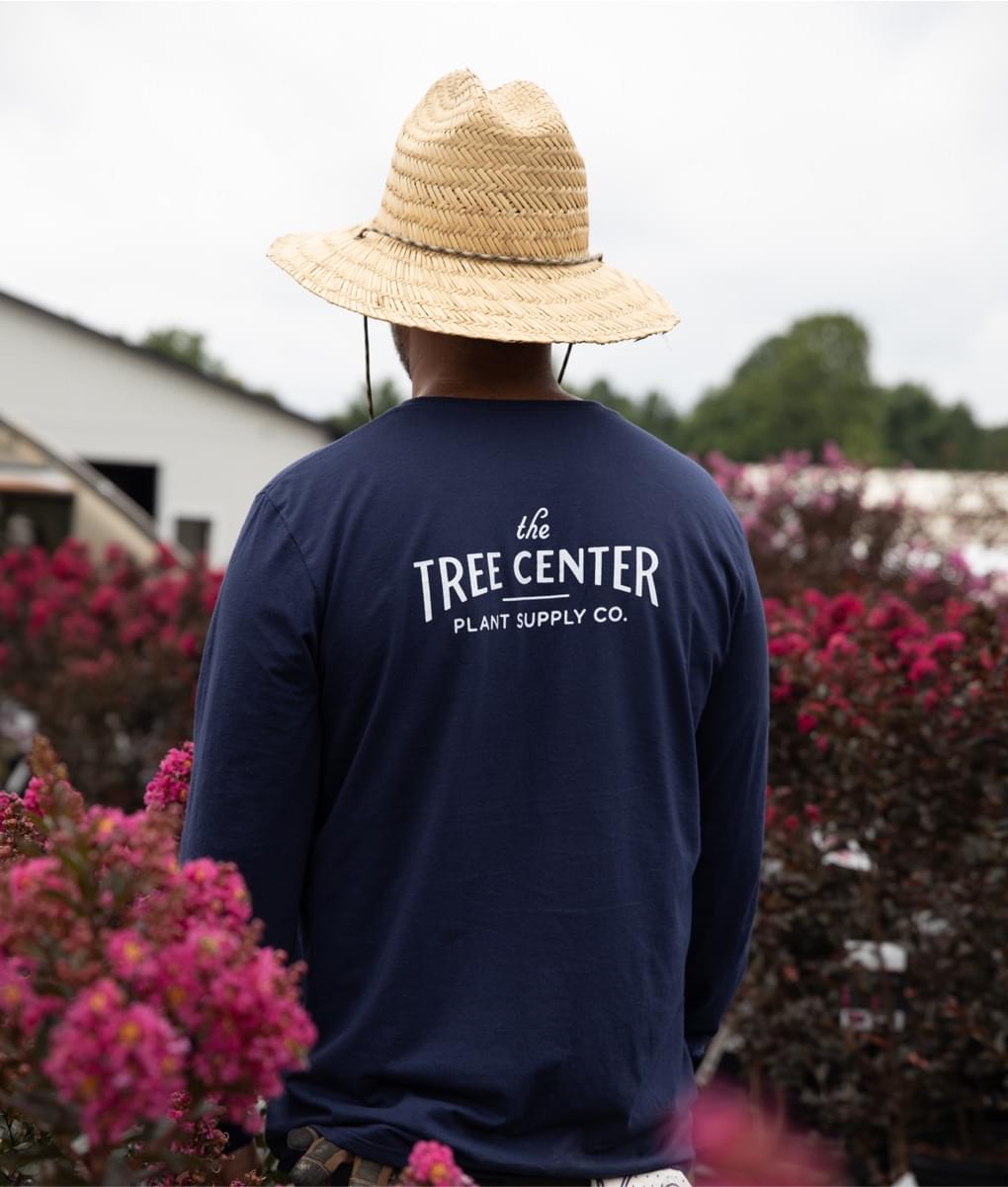 About The Tree Center | The Tree Center