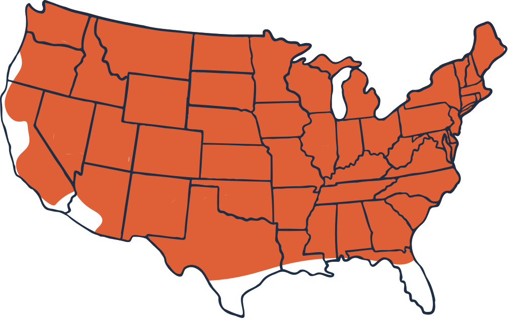 Baker’s Blue Colorado Spruce Trees For Sale | The Tree Center