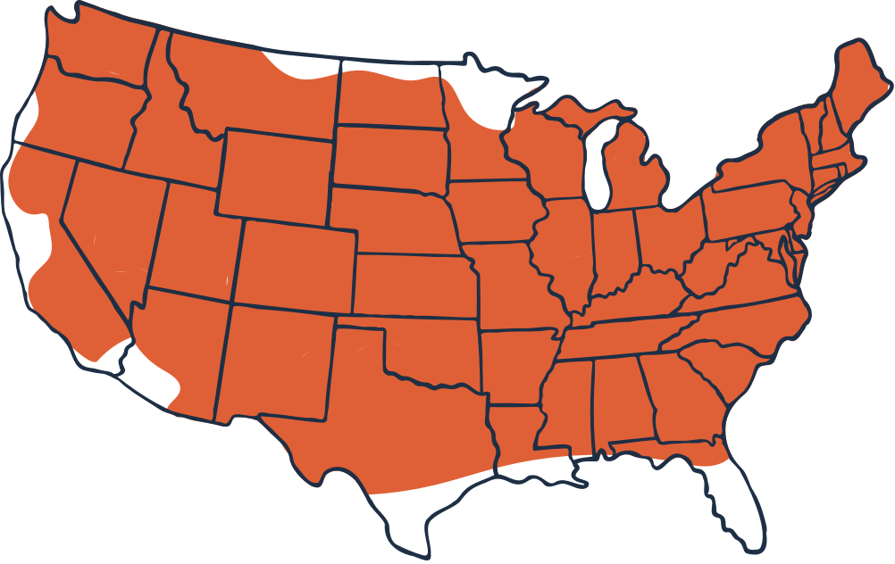 Autumn Radiance Red Maples For Sale Online | The Tree Center