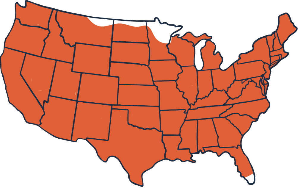 Heritage Birch Clump Trees For Sale | The Tree Center