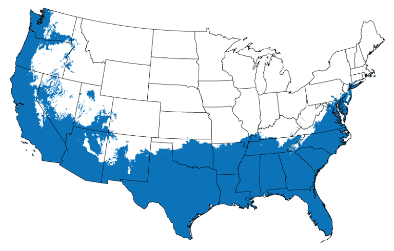 General guide to the Monkey Puzzle Tree