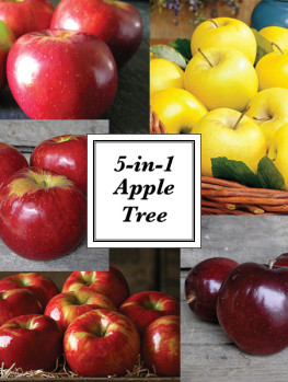 Buy Apple Trees Online | The Tree Center™