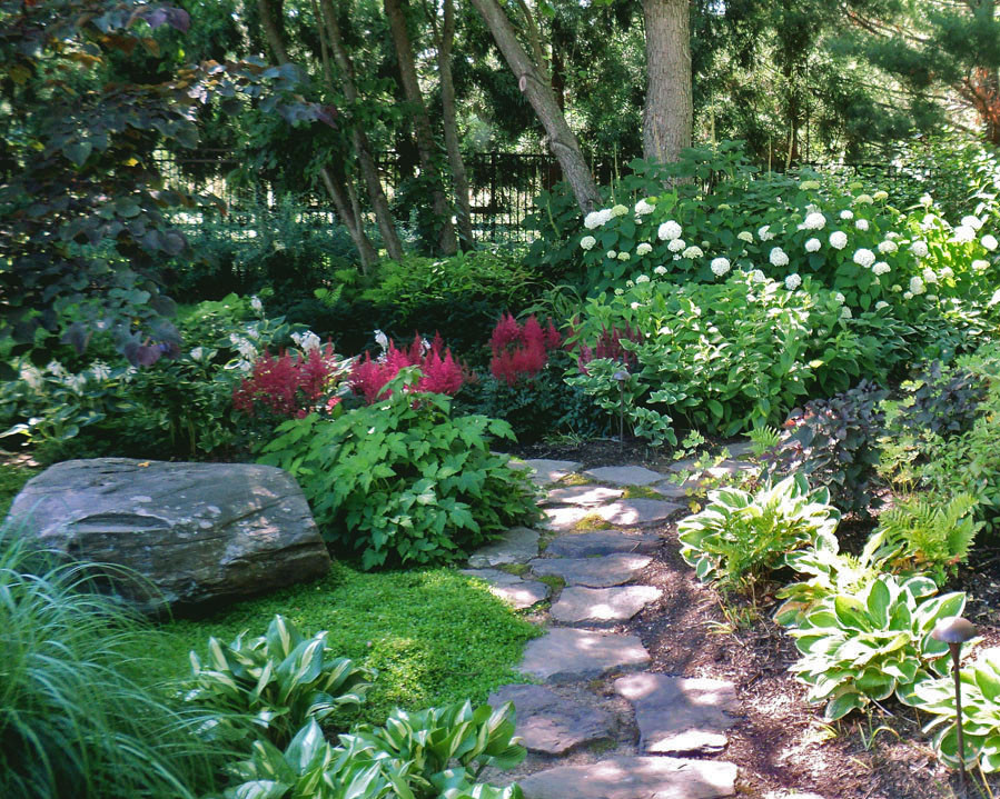 Understanding Shade in the Garden | The Tree Center™ Understanding Shade in the Garden | The Tree Center™