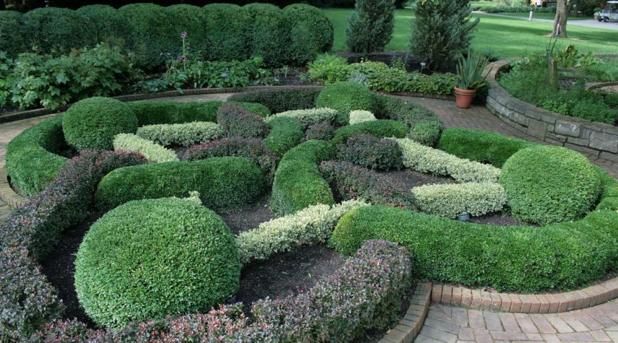 The Tree Center Blog | The Tree Center™