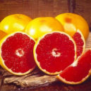 Rio Red Grapefruit Trees For Sale Online | The Tree Center™