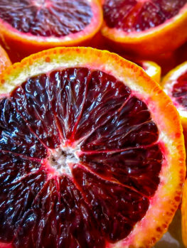 Our Newest Trees, Shrubs and Plants | The Tree Center™