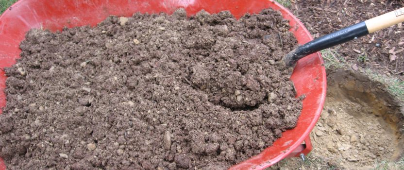5 Steps to Better Soil for Fall Planting | The Tree Center™