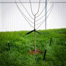 Buy Tree Staking Kits Online | The Tree Center™
